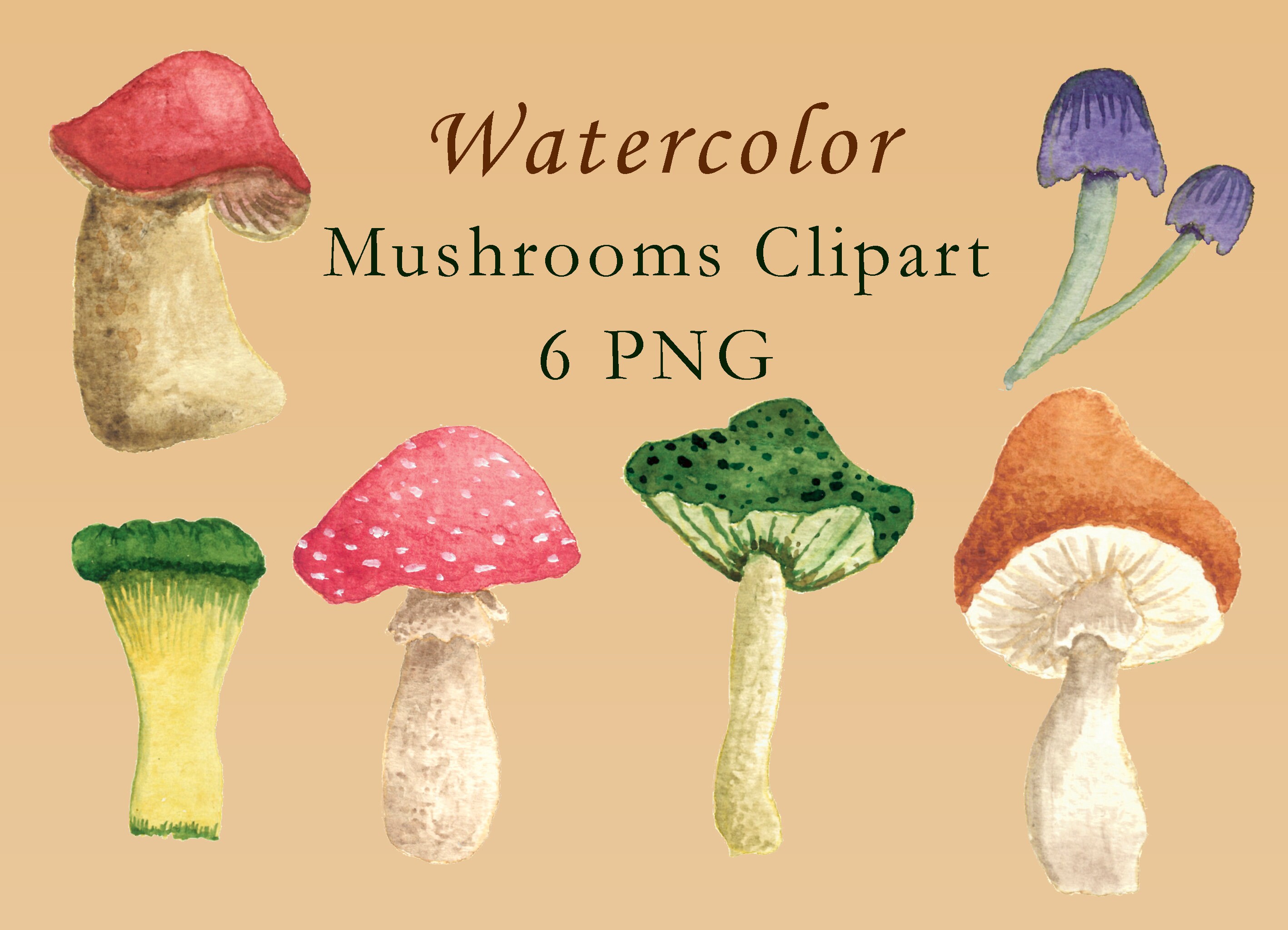 Mushroom Clipart Woodland Clipart Watercolor Mushrooms Autumn Forest ...