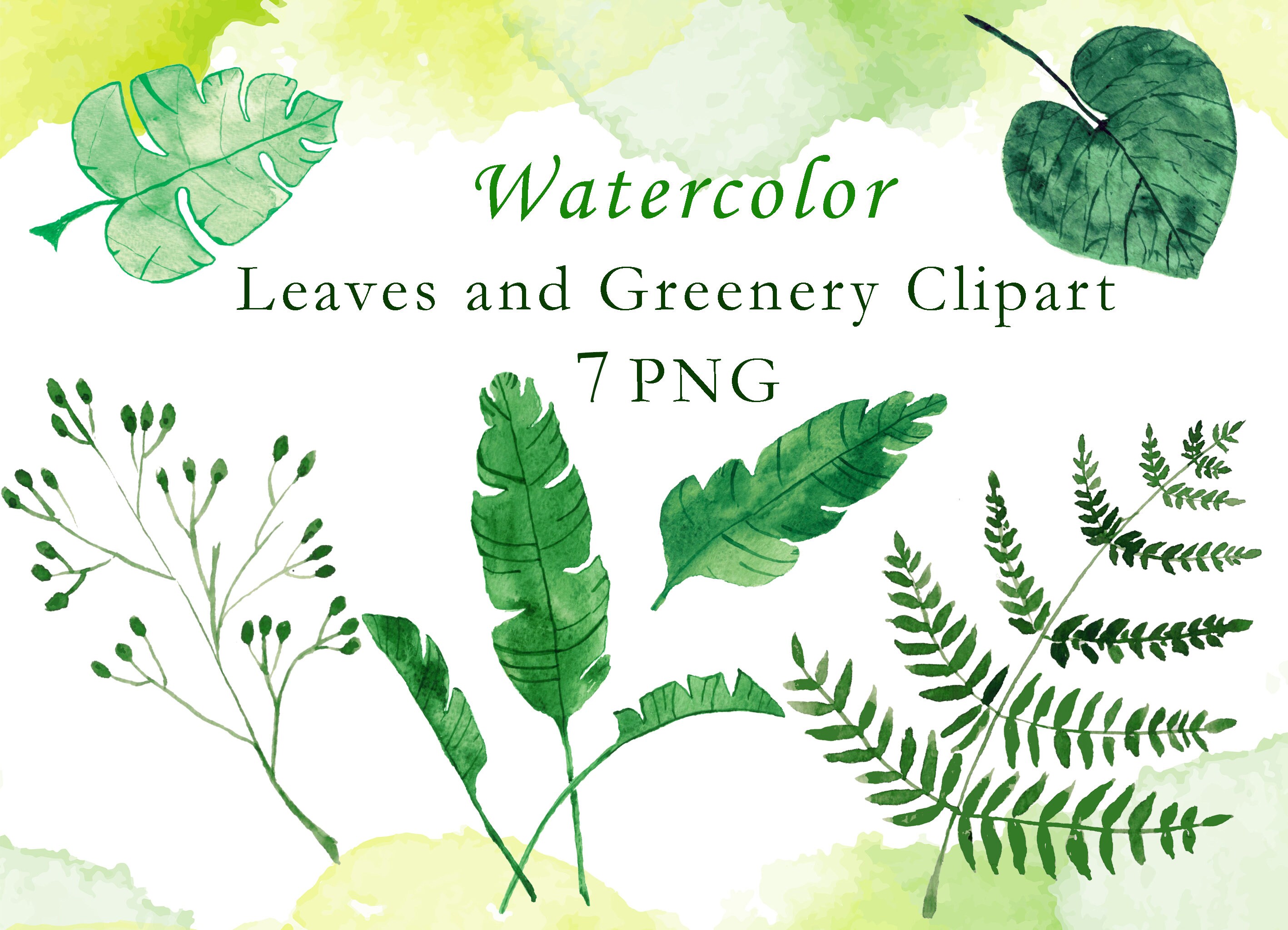 Watercolor Leaves Clipart Greenery Clipart Watercolor Foliage Nature ...