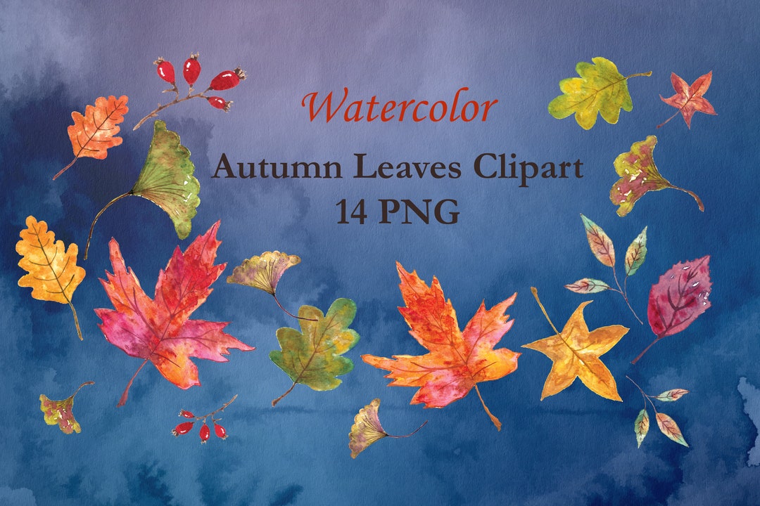 Autumn Leaves Clipart, Watercolor Fall Lllustration, Autumn Foliage PNG ...
