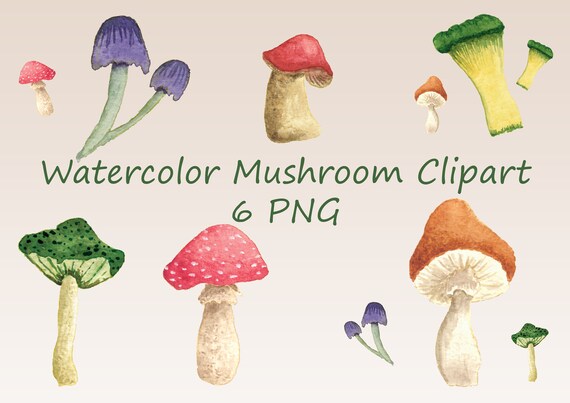 Mushroom Clipart Woodland Clipart Watercolor Mushrooms Autumn - Etsy