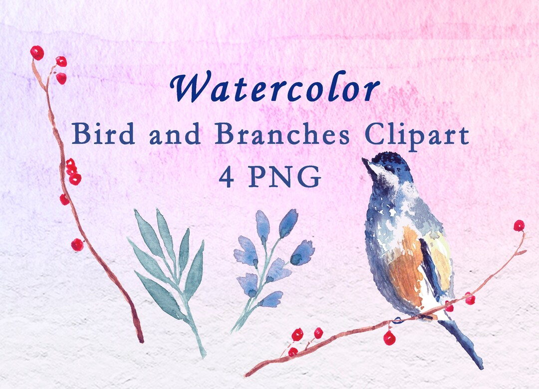 Bird Clipart Hand Painted Watercolor Clipart Watercolor Printable ...