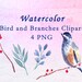 Bird Clipart Hand Painted Watercolor Clipart Watercolor Printable ...