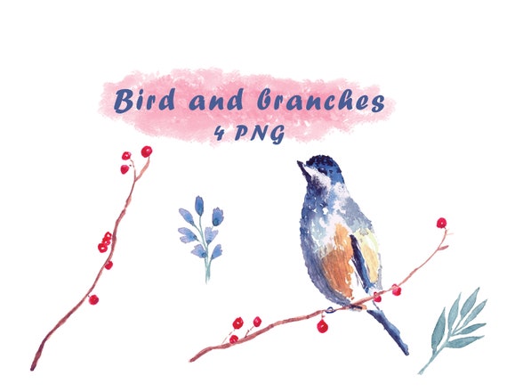 Bird Clipart Hand Painted Watercolor Clipart Watercolor | Etsy