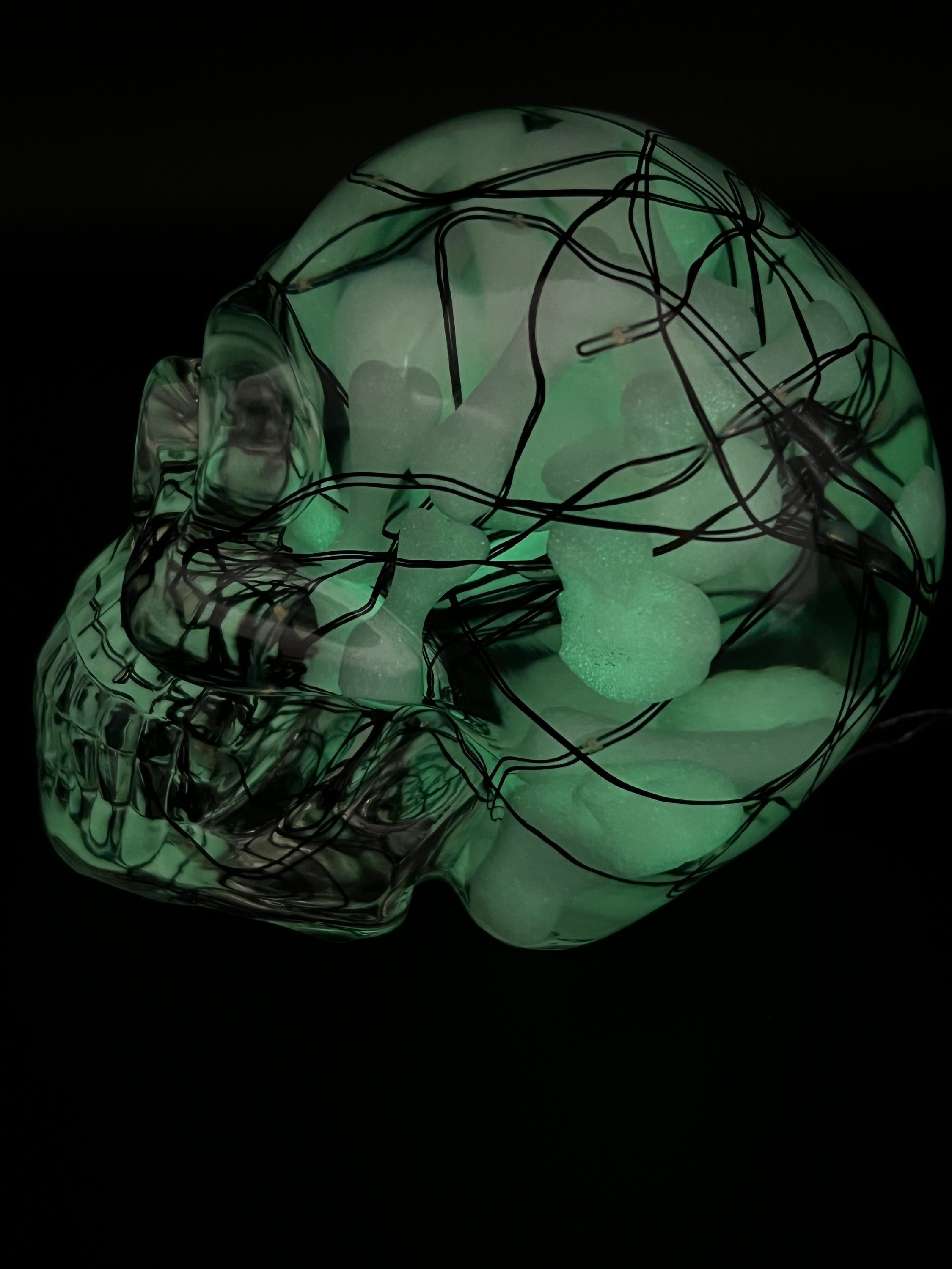 Skull With Lights and Glow in the Dark Bones Resin Skull With - Etsy