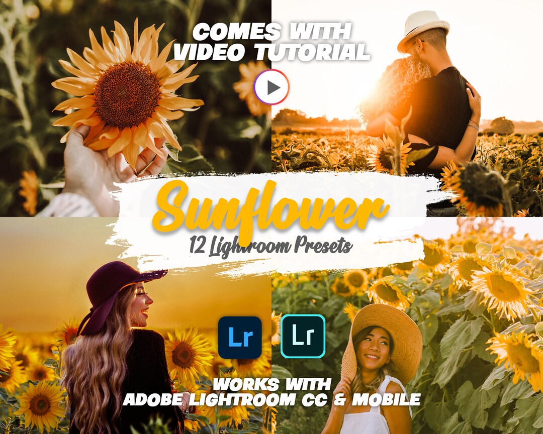 Sunflower Lightroom Presets: Vintage Film Photo Editing (desktop ...