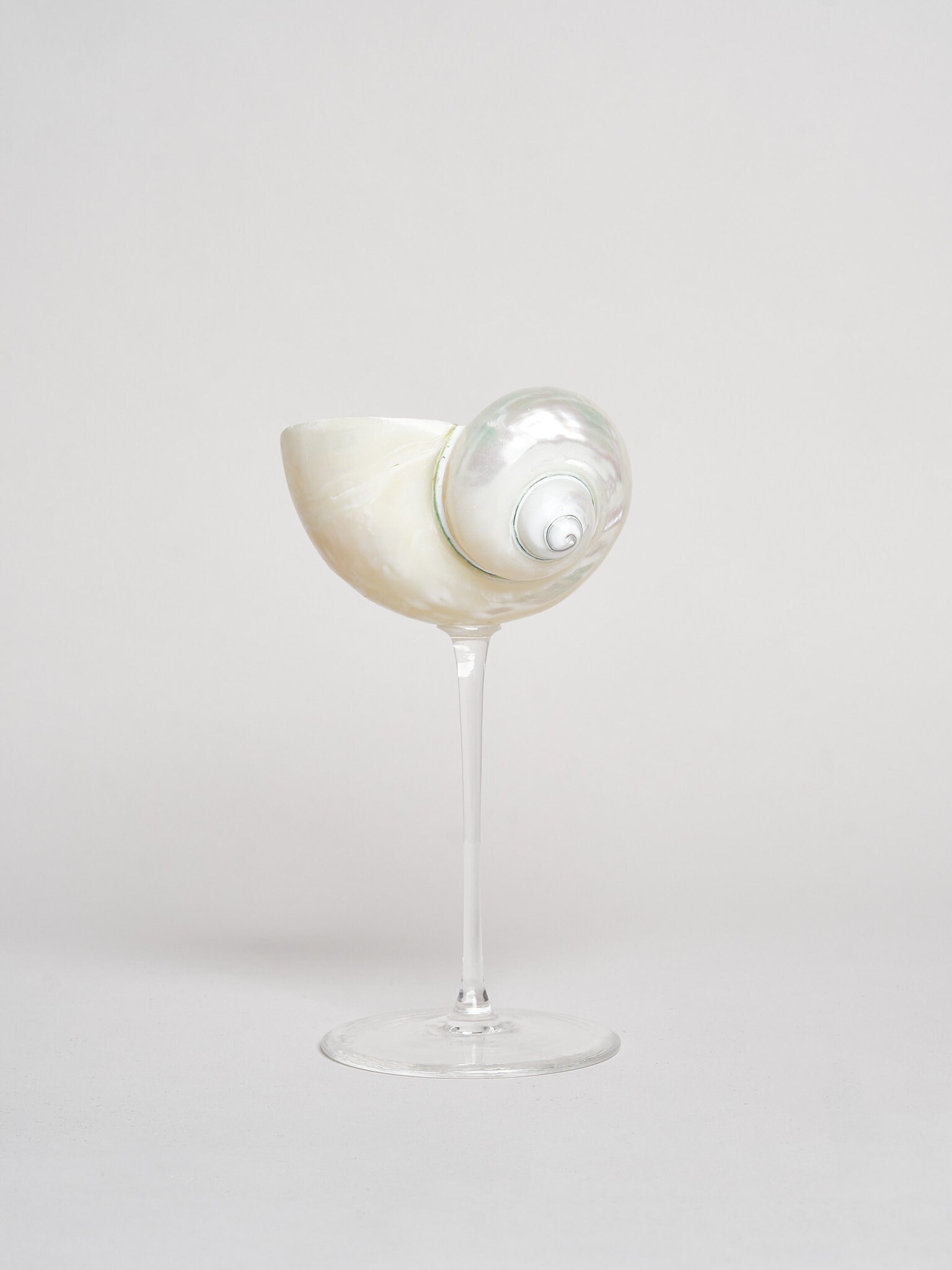 Pearl Snail Seashell Glasses - Etsy