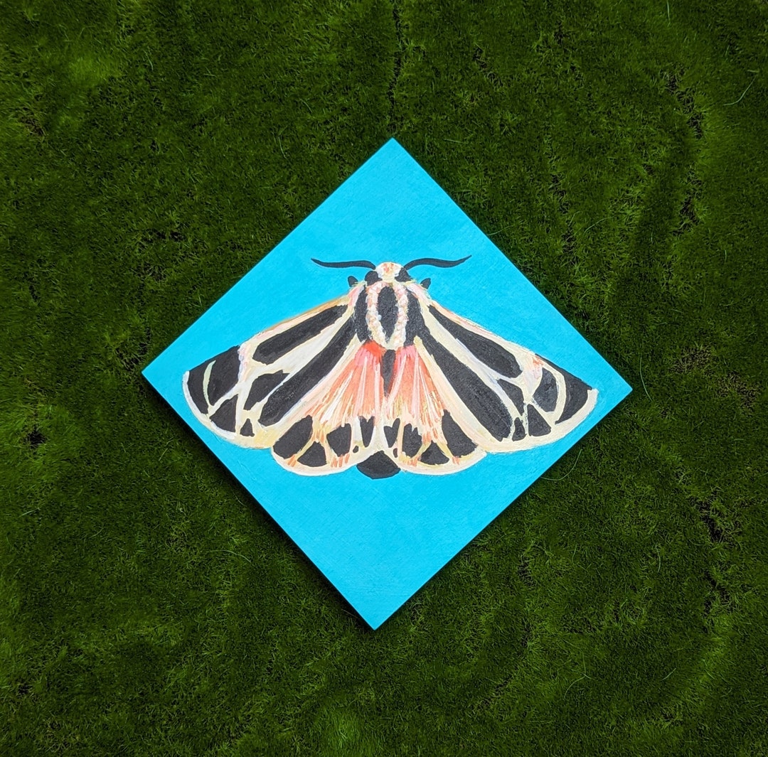 Harnessed Tiger Moth Acrylic Painting - Etsy