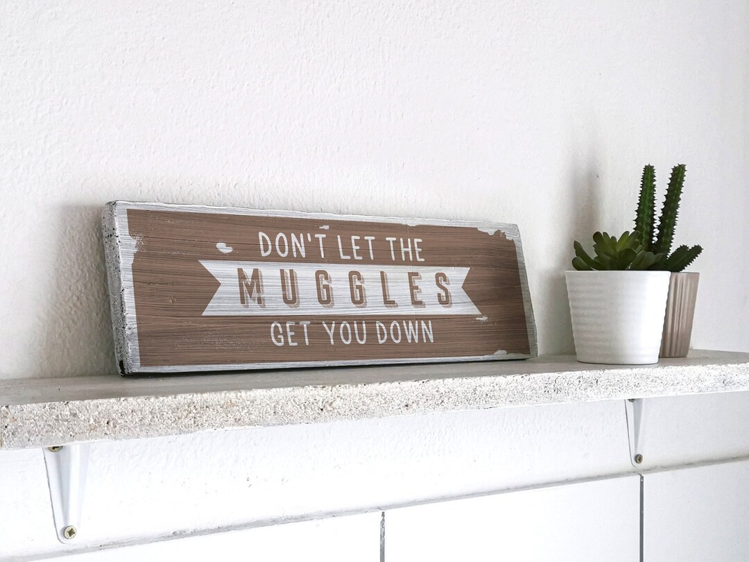 Holzschild Harry Potter Don't let the muggles get you down Maße: 30 x ...