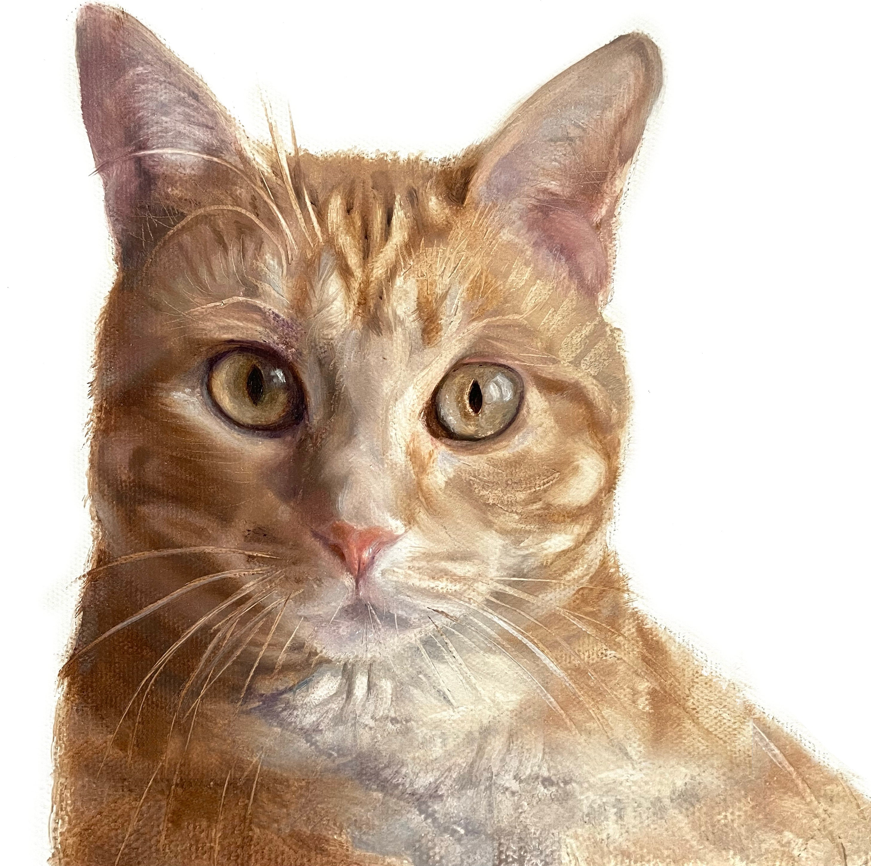 Your Cat Custom 100% Hand-painted Pet Portrait From Photo Ready to Hang ...