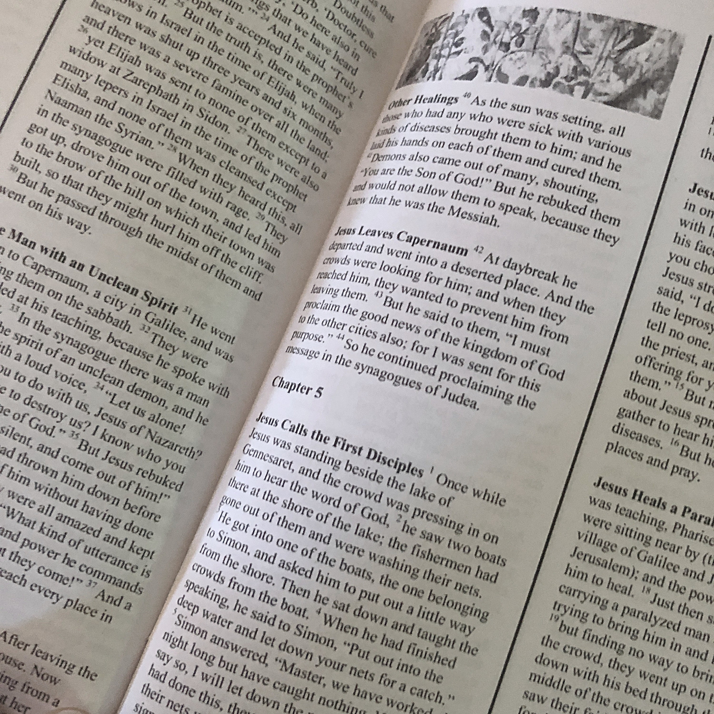 The Gospel of Luke, Christian Zine, Catholic, Christian Punk, Biblical ...