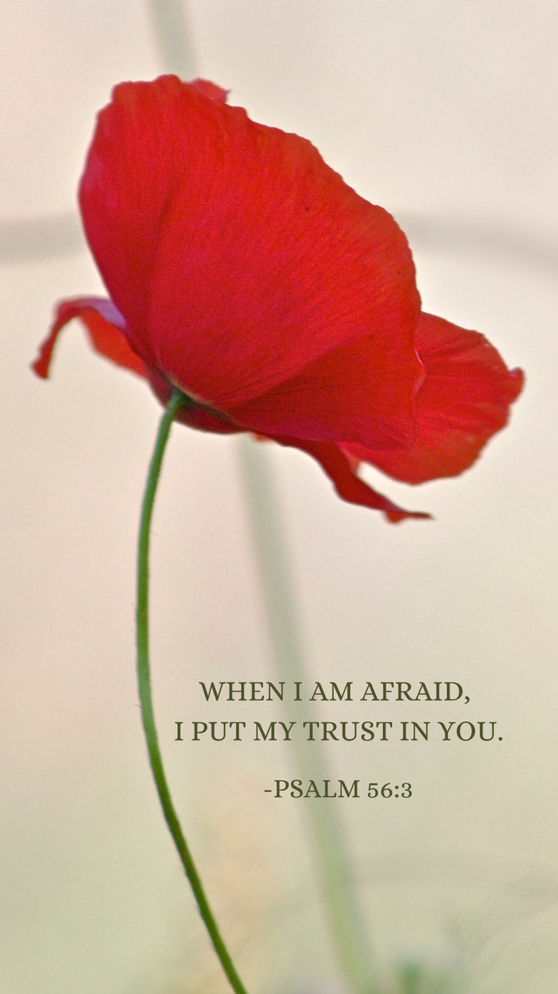 Jw Yearly Text 2024 Psalm 56:3 when I Am Afraid I Put My Trust in You ...