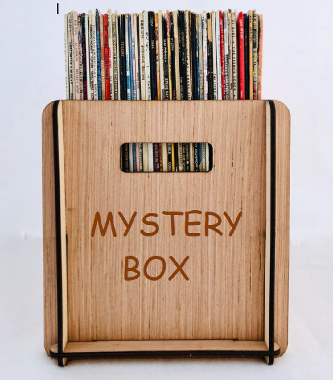 Vinyl Records Lot - 10 Album Mystery Assortment / Gift for a Music ...