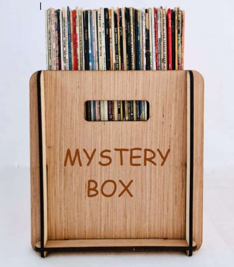 Vinyl Records Lot - 10 Album Mystery Box / Gift for a Music Lover ...