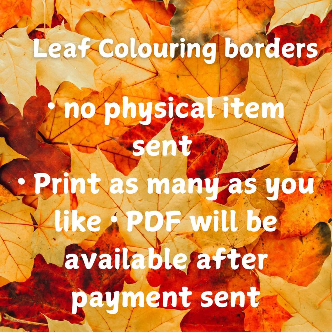 Leaf Border Colouring in Pages. Take the Kids Out on a Walk to Find the ...