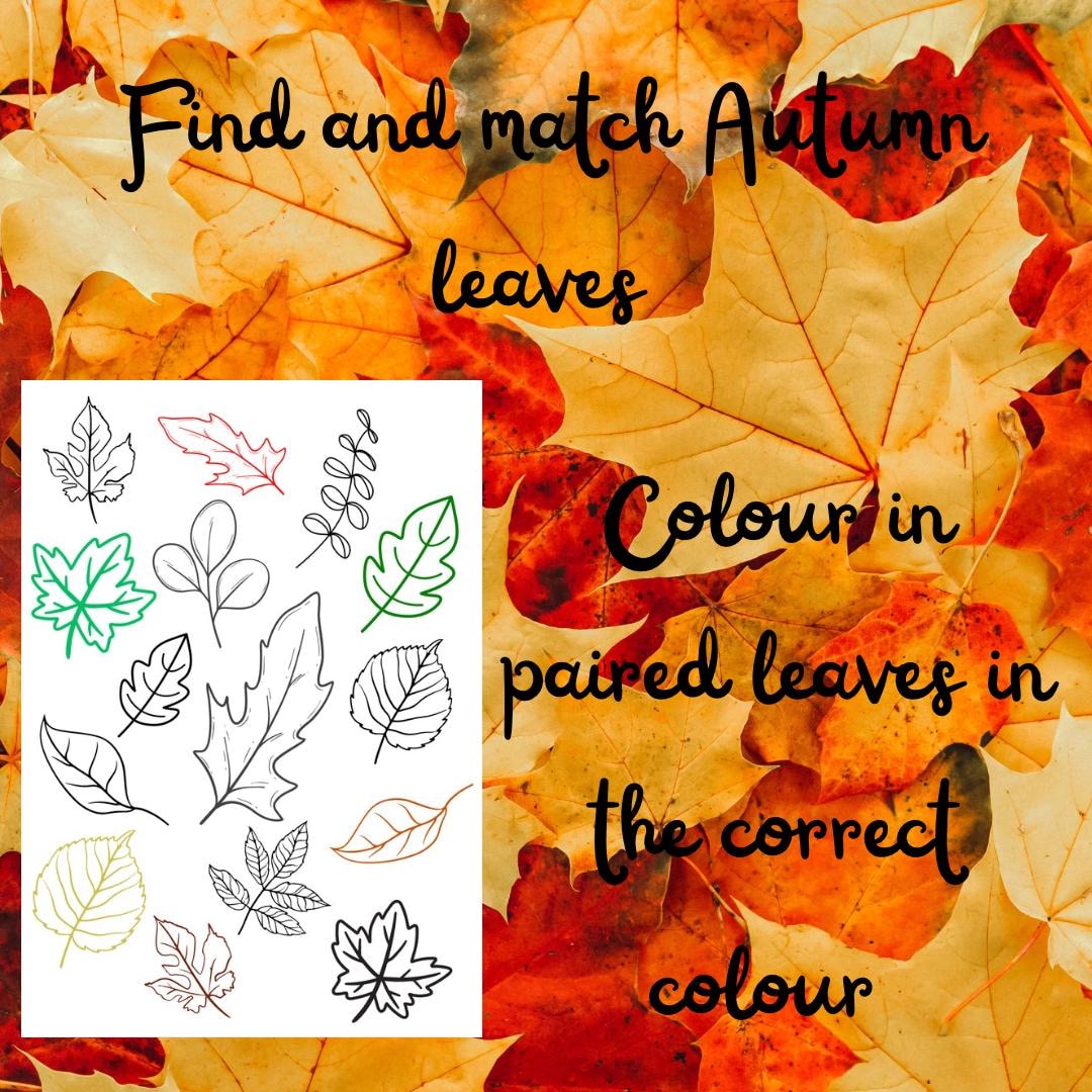 Pair and Match the Coloured Leaves. Promotes Fine Motor Skills for ...