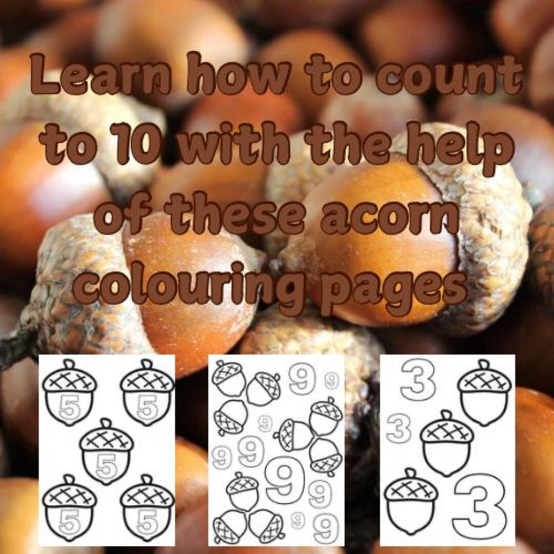Learn How to Count With These Fun Printable Colouring Pages. Acorn 1-10 ...