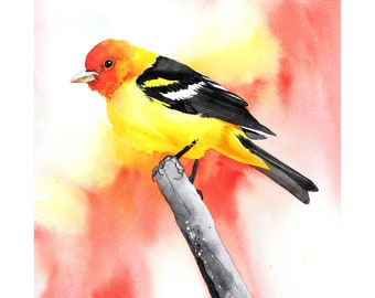 Western Tanager Art - Etsy