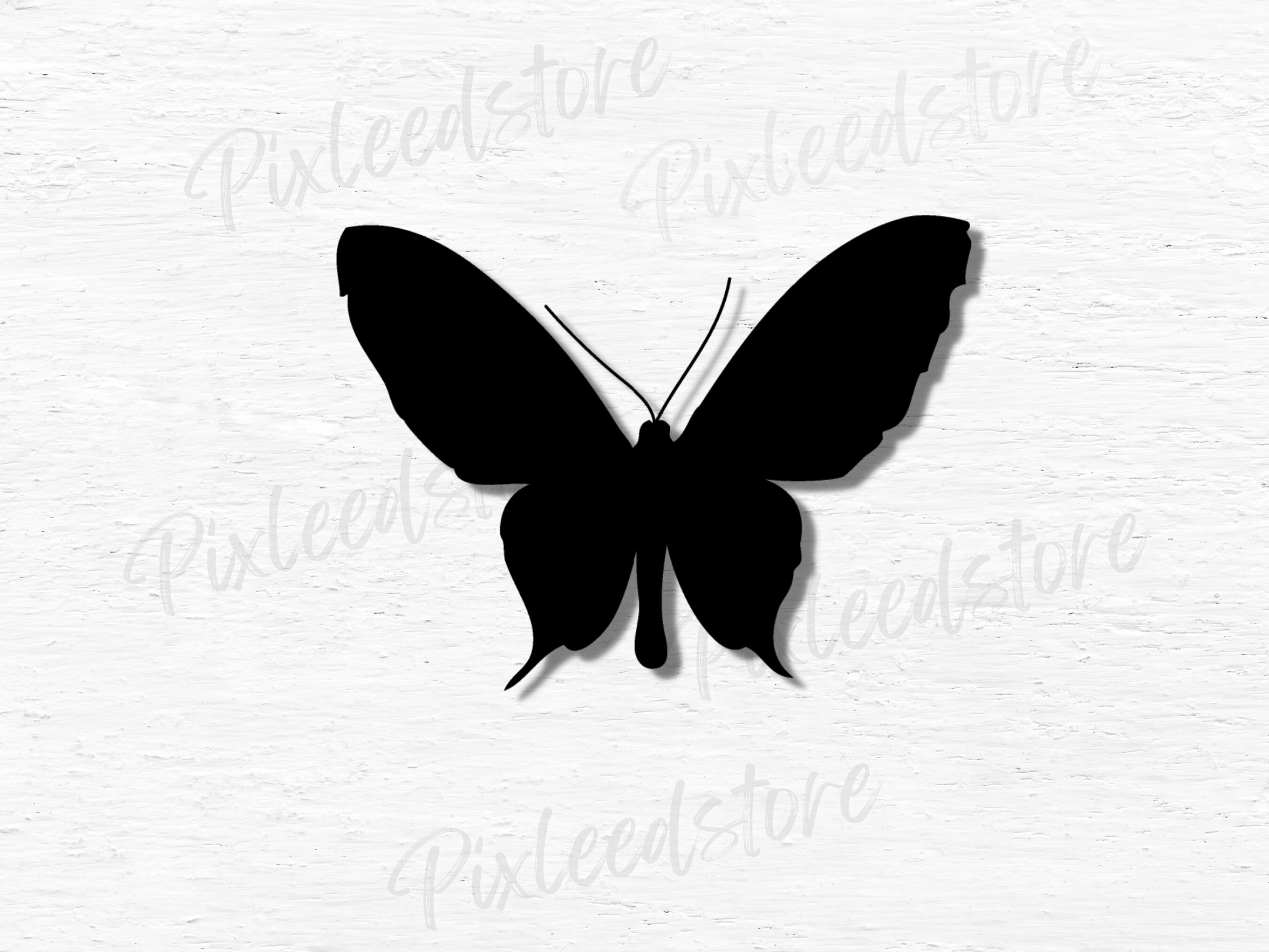 Butterflies Svg, Butterfly Svg, Butterfly Png, Botanical Svg, Svg ...