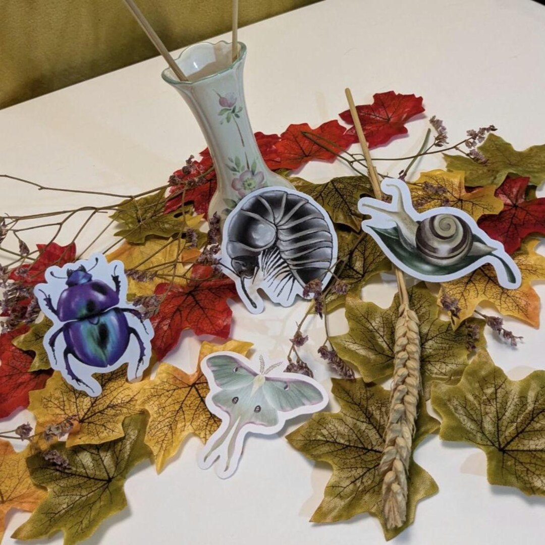 Insect/ Bug Sticker Pack, 4 Stickers, Matte Stickers, Bugs, Insects ...