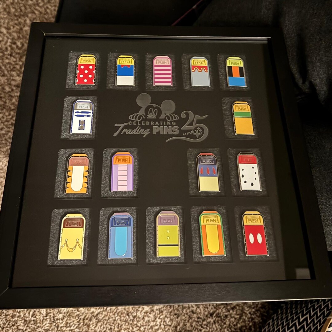 Pin Board Shadowbox Display Case for Your Theme Park Pins - Trash Can ...