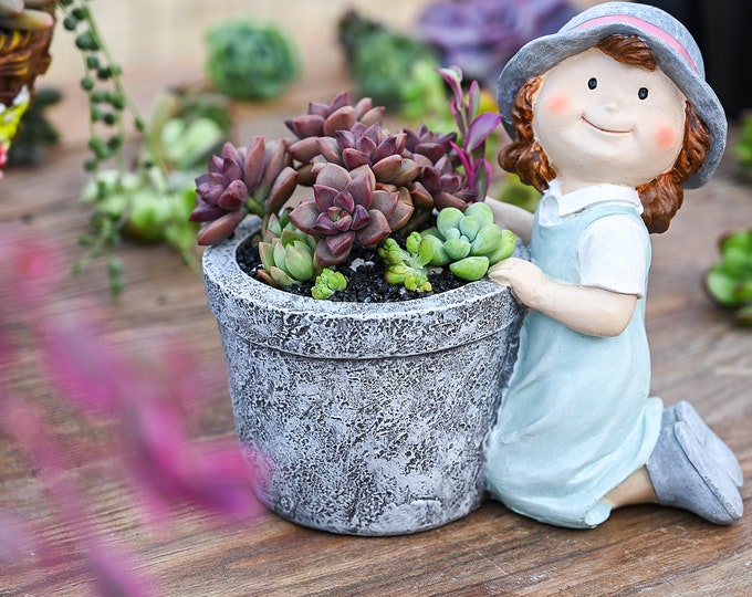 Live Succulent Arrangement in Two-tone Ceramic Bowl, Succulent Planter ...