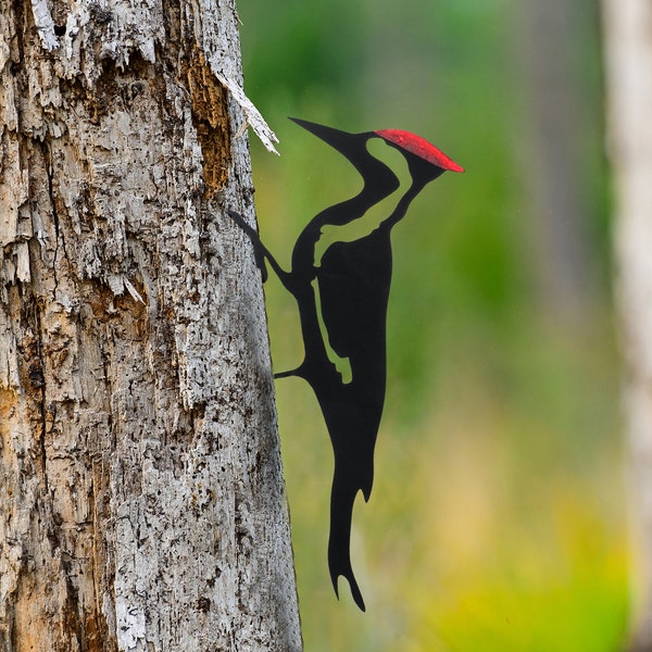 Woodpecker Art - Etsy