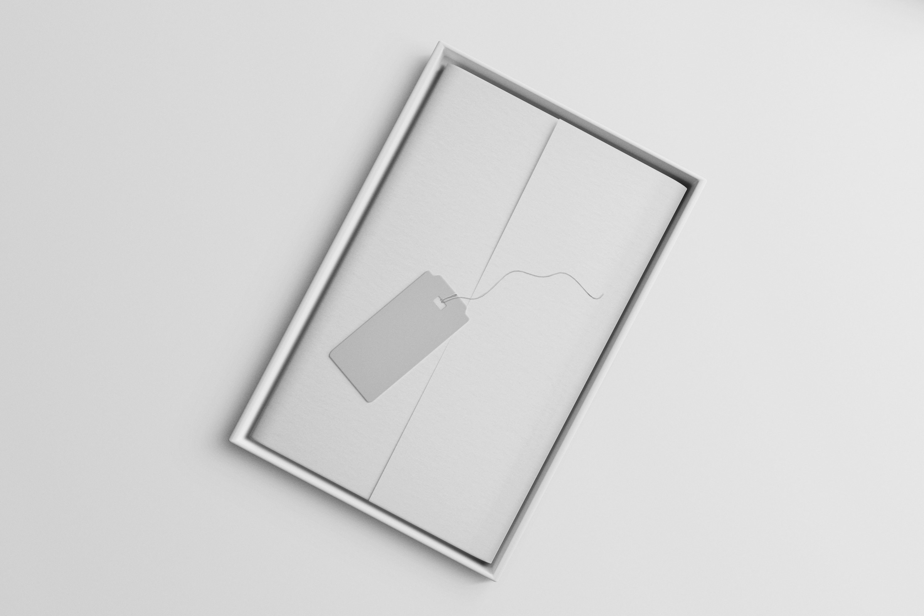 Apparel Cloth Box Mockup Kit & Gold Foil - Etsy