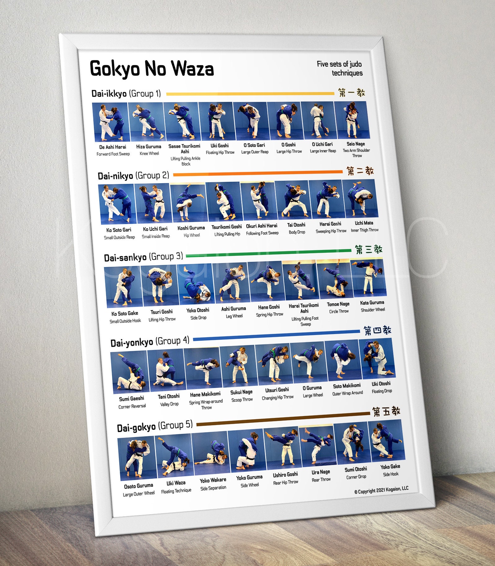 Judo Gokyo No Waza Photos Poster - Etsy UK