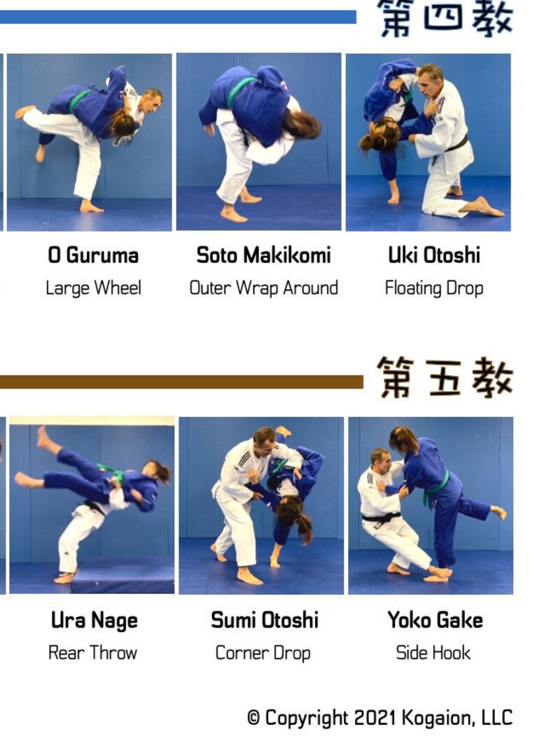 Judo Gokyo No Waza Photos Poster - Etsy UK