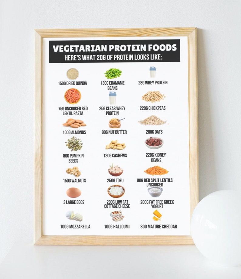 Protein Food Chart BUNDLE Poster Protein Poster Bundle: - Etsy