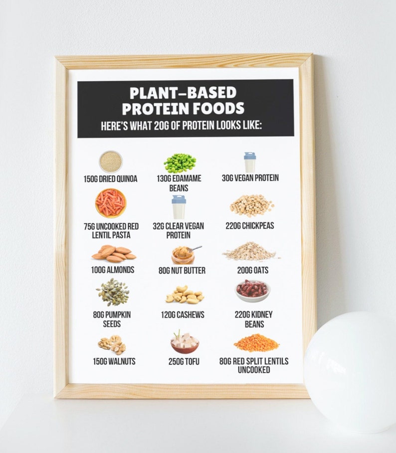 Protein Food Chart BUNDLE Poster Protein Poster Bundle: - Etsy