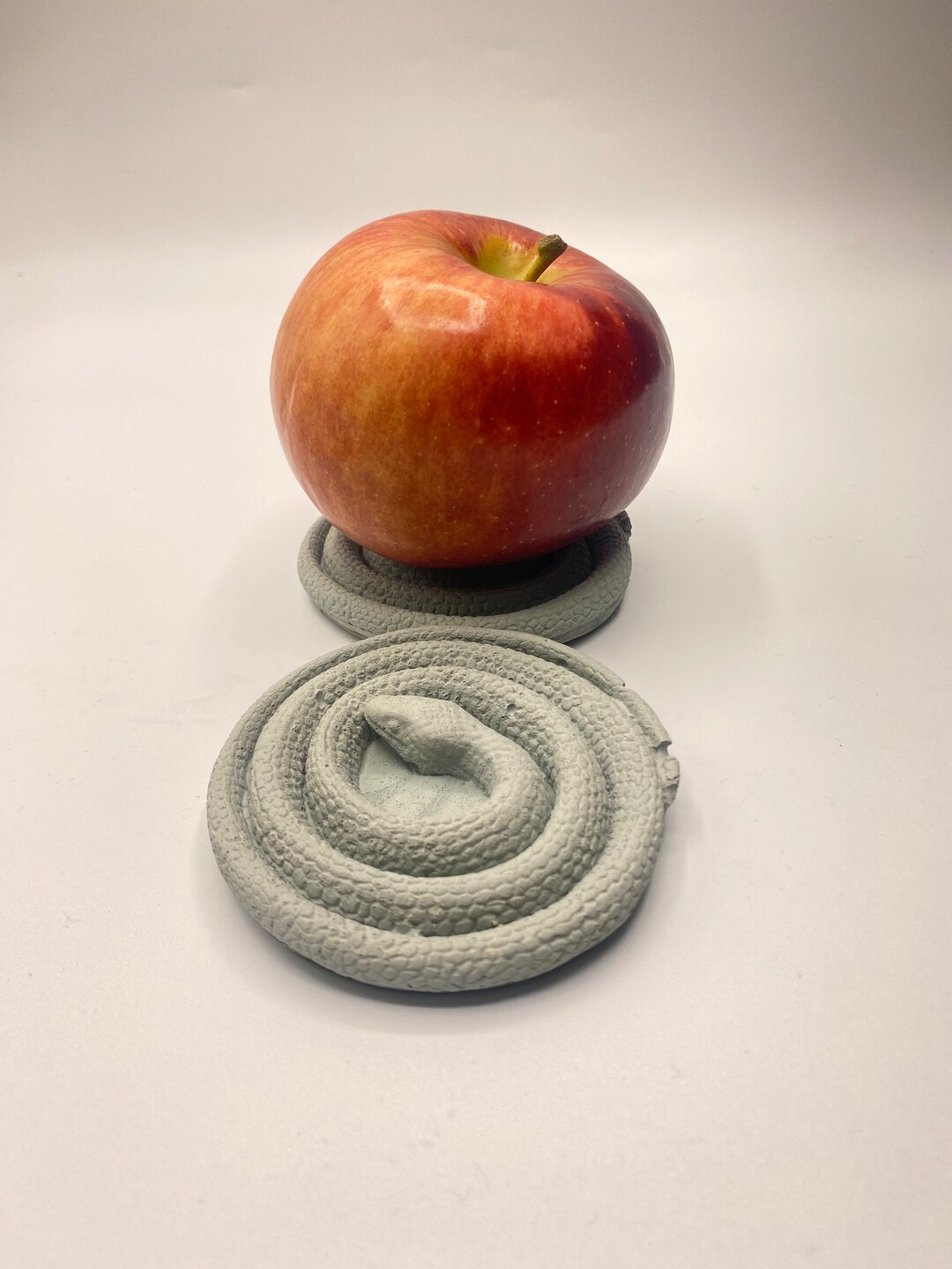 Cement Snake Coasters L Cement Snake L Cement Coasters L Coaster L ...