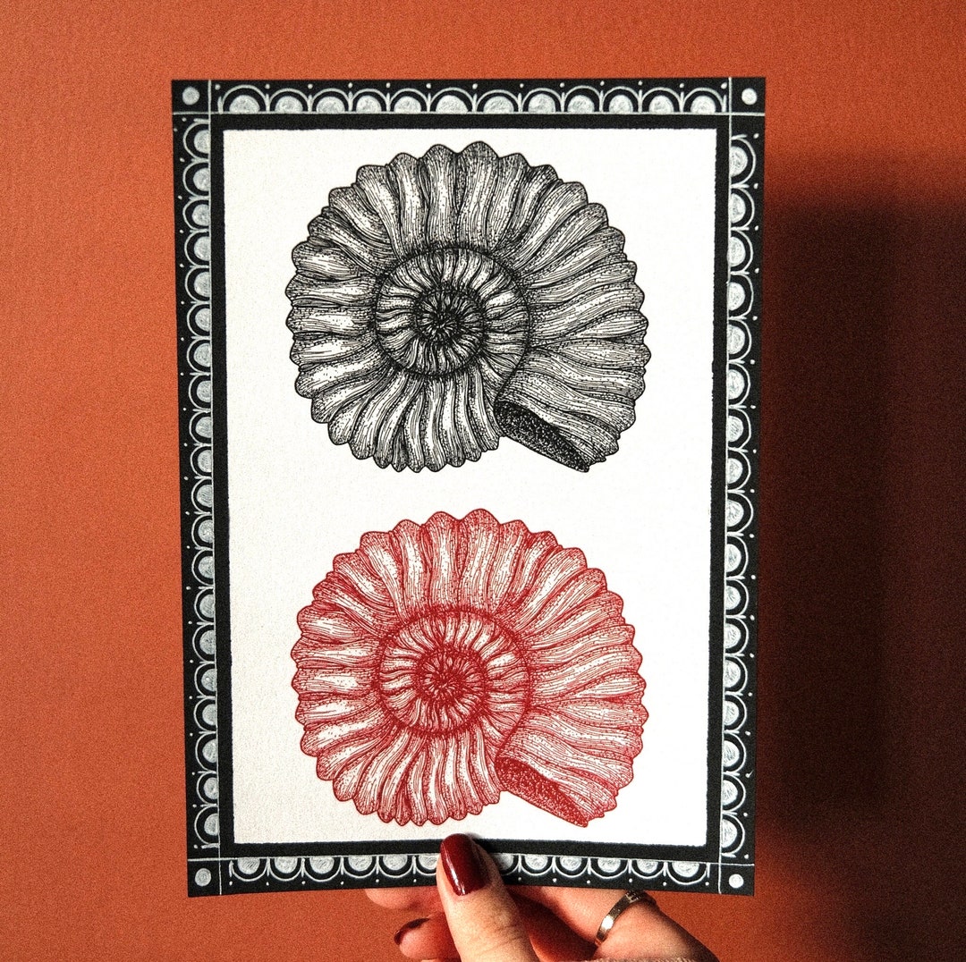 Hand Painted | Ammonite | Pattern Border | Black | Red | A5 | Art Print ...