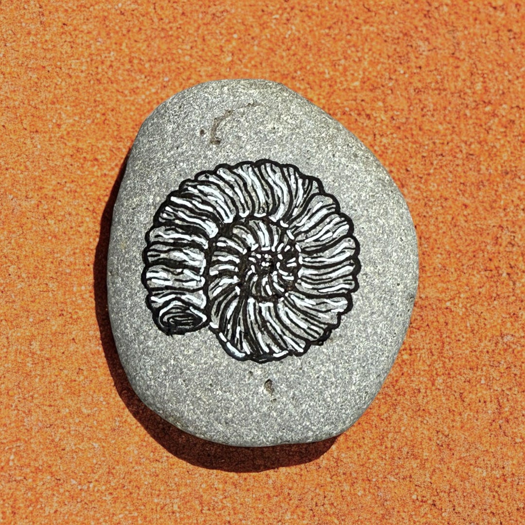 Painted Pebble Art | Hand Painted Ammonite Fossil | Pocket Gifts ...