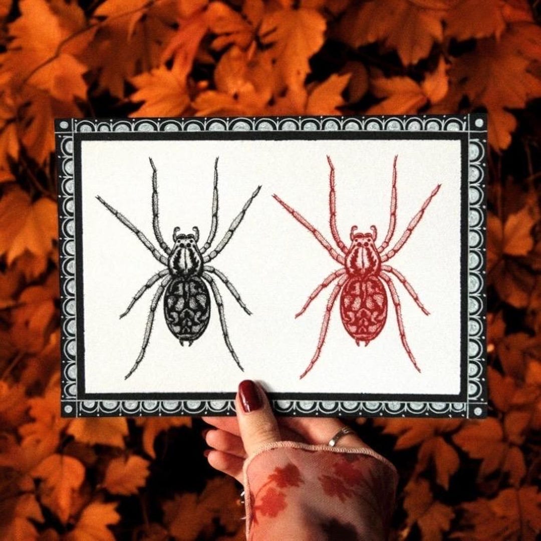 Hand Painted Spiders | Black & Red | A5 Art Print | Spooky Arachnid ...