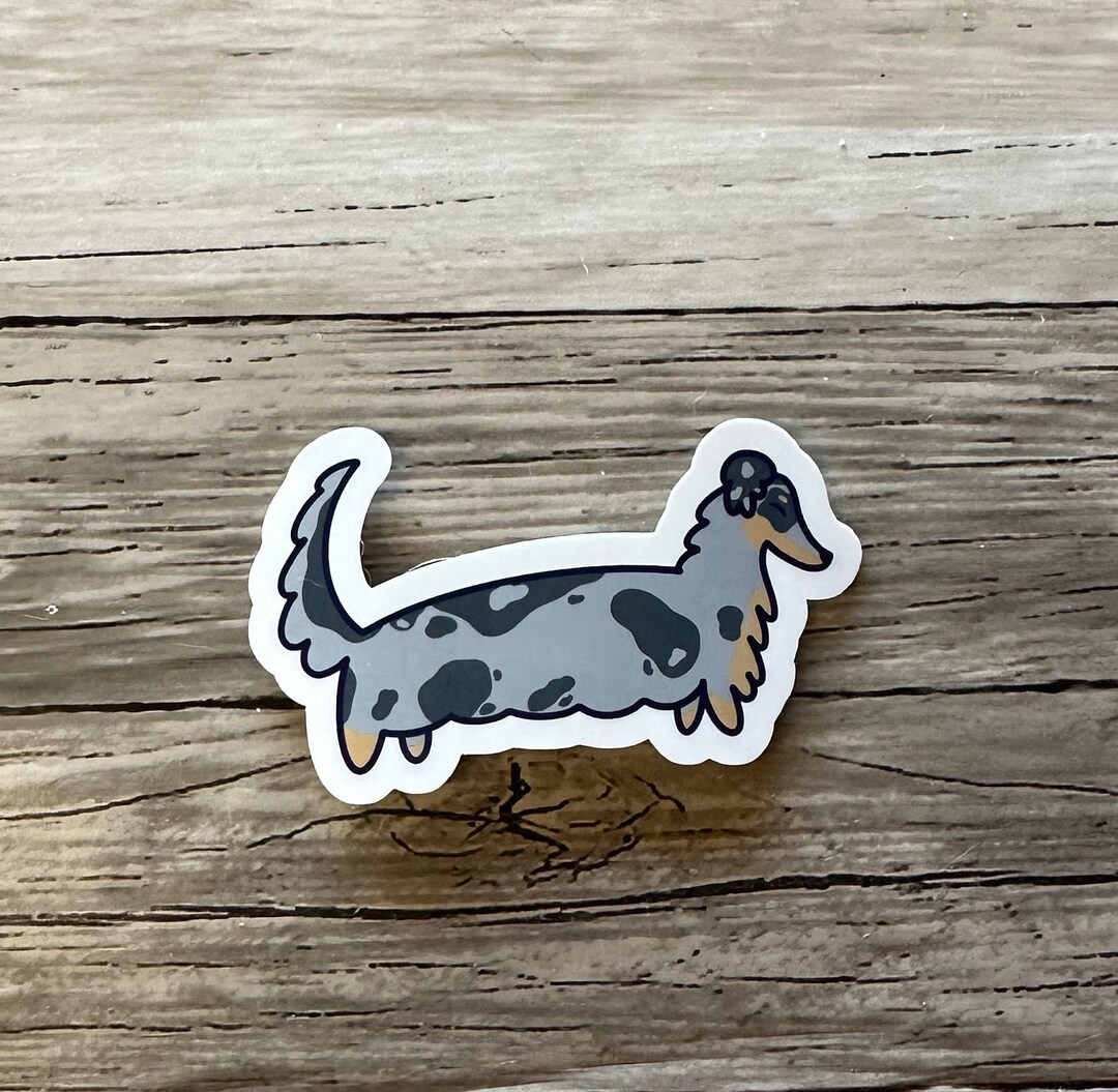 Dachshund Sticker Longhair Weiner Dog Miniature Dachshund Cute Water ...