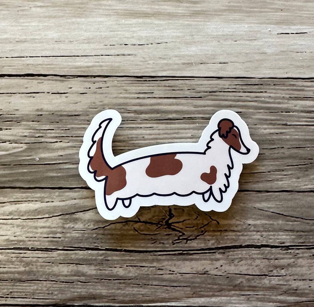 Dachshund Sticker Longhair Weiner Dog Miniature Dachshund Cute Water ...