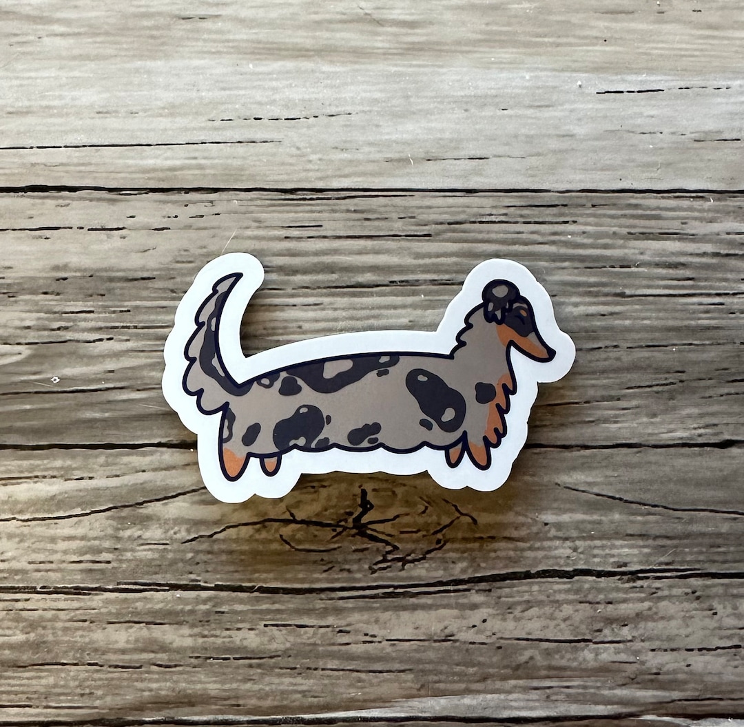 Dachshund Sticker Longhair Weiner Dog Miniature Dachshund Cute Water ...