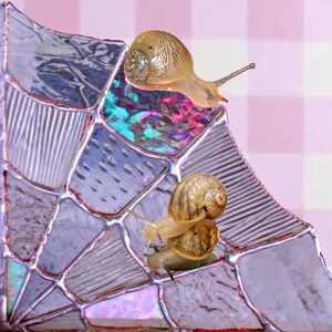 Pet Snail Care Guide - Etsy