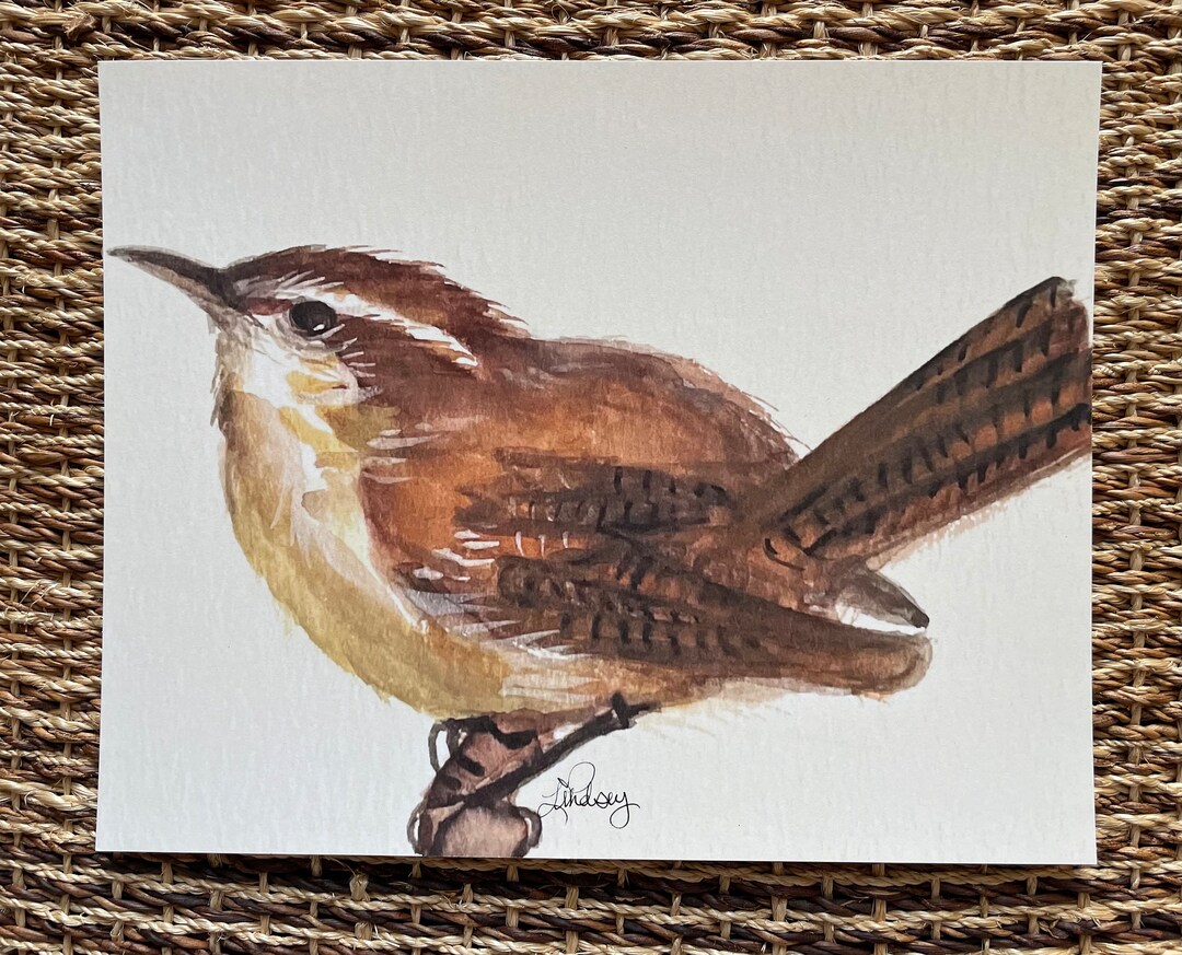Wren Print, Fine Art Print, Bird Lovers, Original Painting, Florida ...