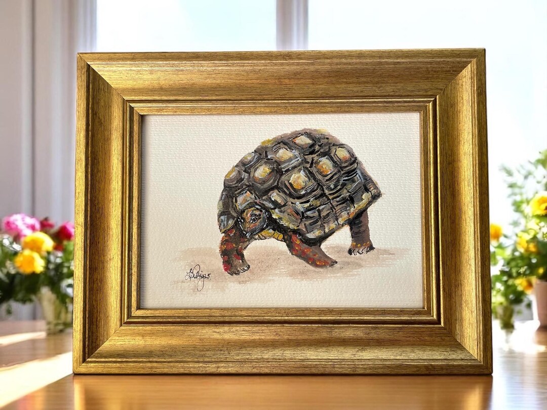 Red-footed Tortoise Watercolor Painting: Framed Animal Art - Etsy