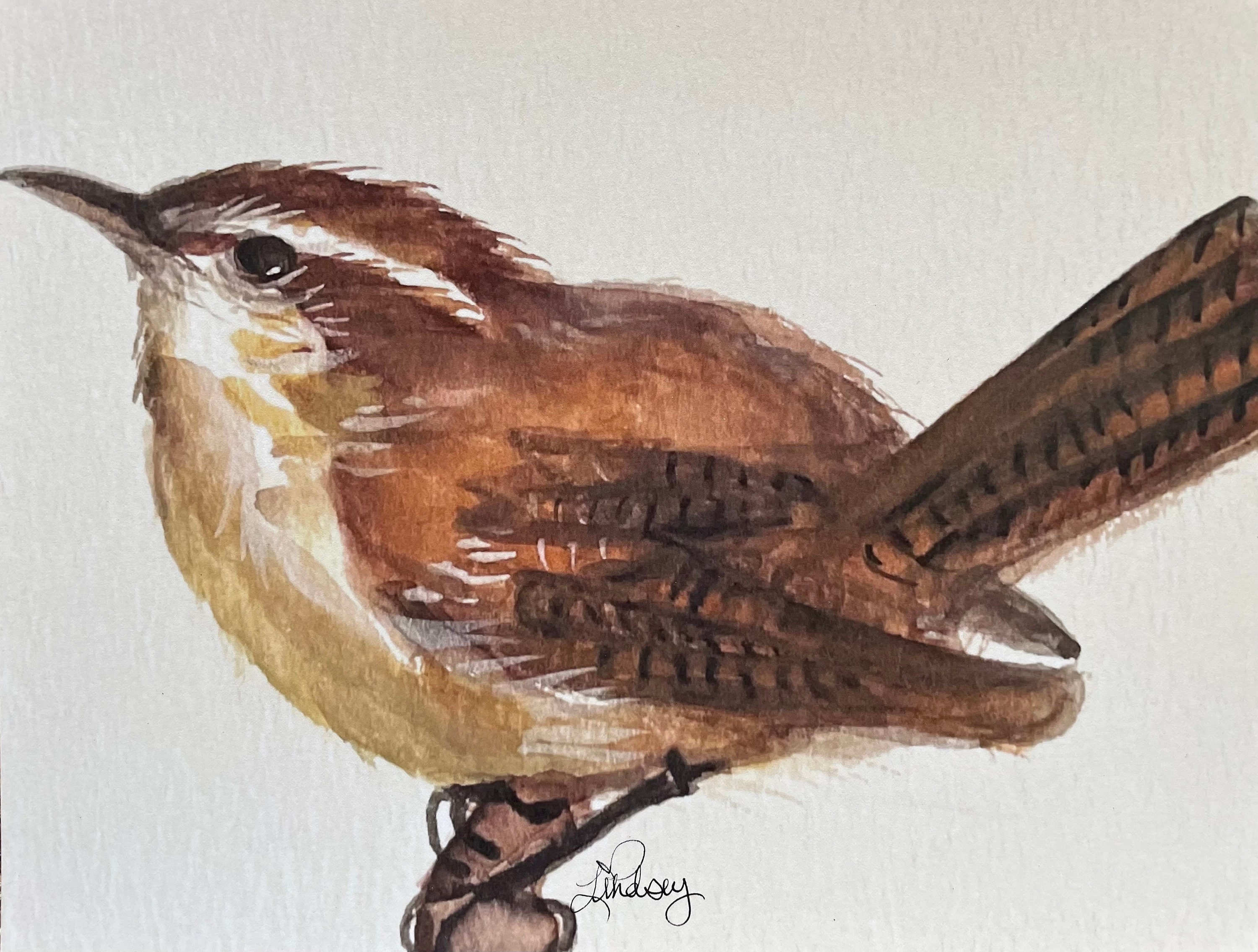 Wren Print, Fine Art Print, Bird Lovers, Original Painting, Florida ...