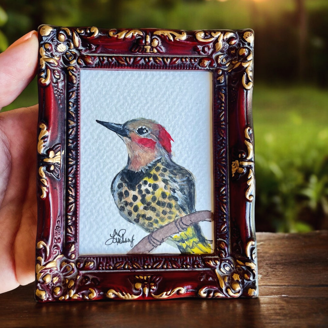 Northern Flicker Painting, Miniature Bird Art, ORIGINAL Woodpecker ...
