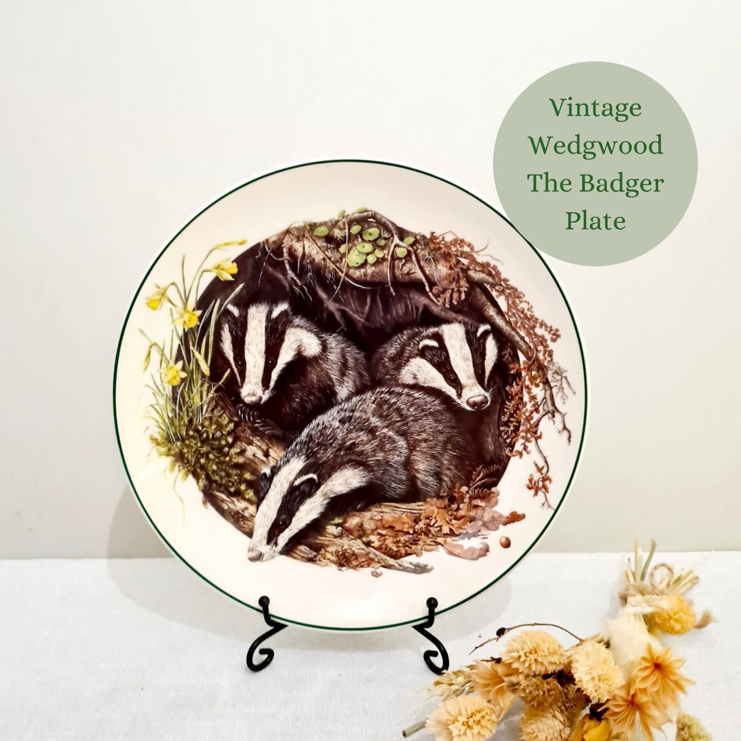 Wedgwood Badger Vintage China Plate, Wildlife Animal Lovers Gift ...