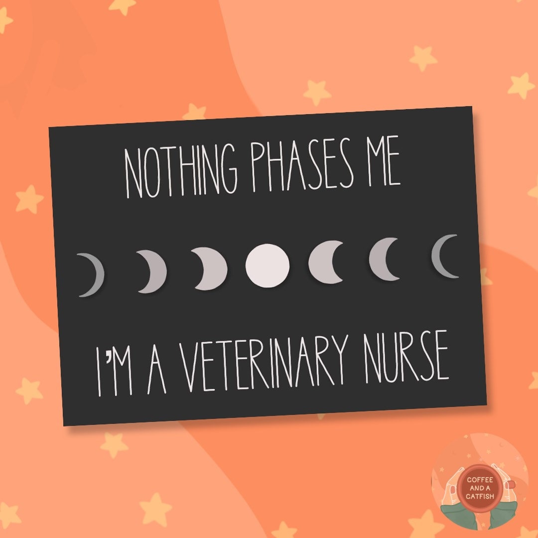 Vet Nurse Gifts RVN Gift for Student Veterinary Nurse, Student Vet ...