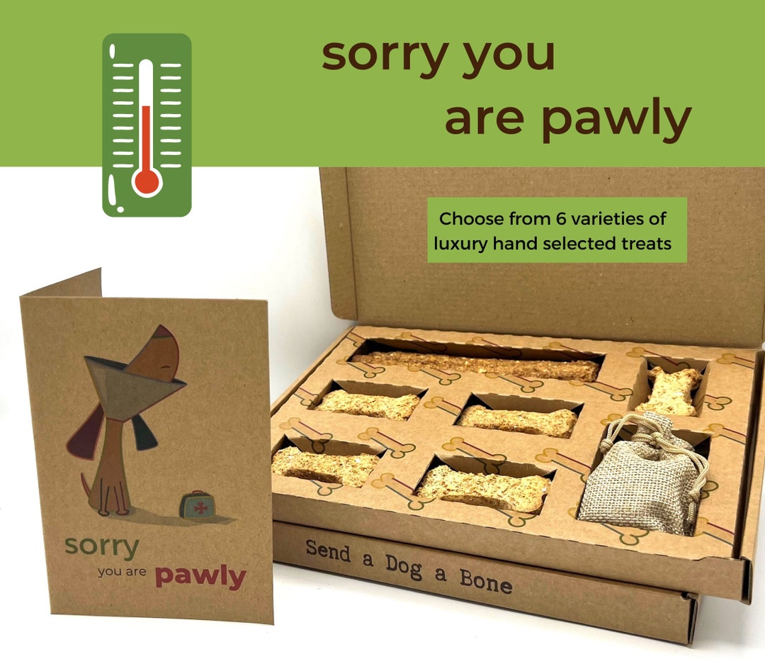 Sorry You Are Pawly Dog Treat Box Get Well Soon Cards for - Etsy