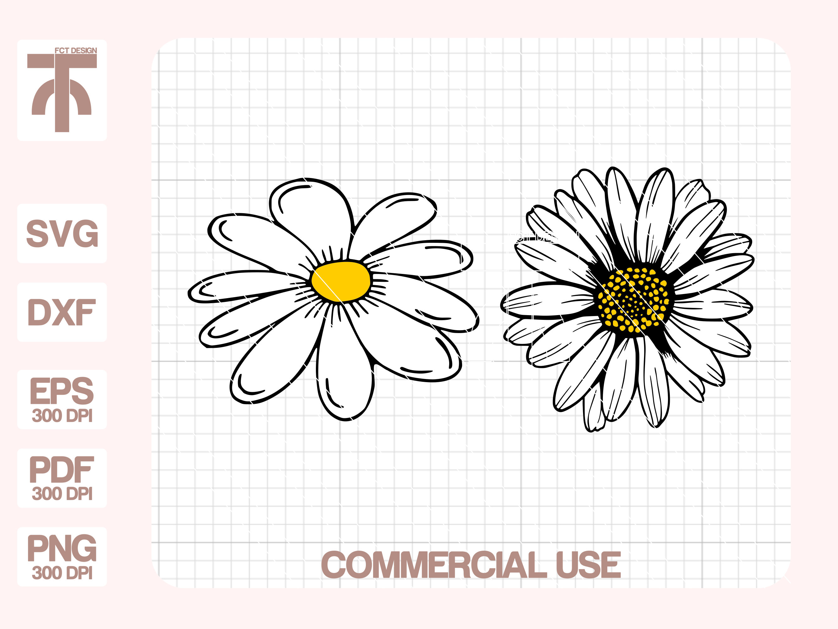 Daisy Svg Daisy Svg Bundle Daisy Clipart Daisy Png Flower - Etsy