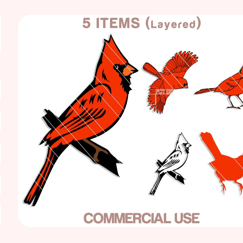 Memorial Cardinal Svg - Etsy