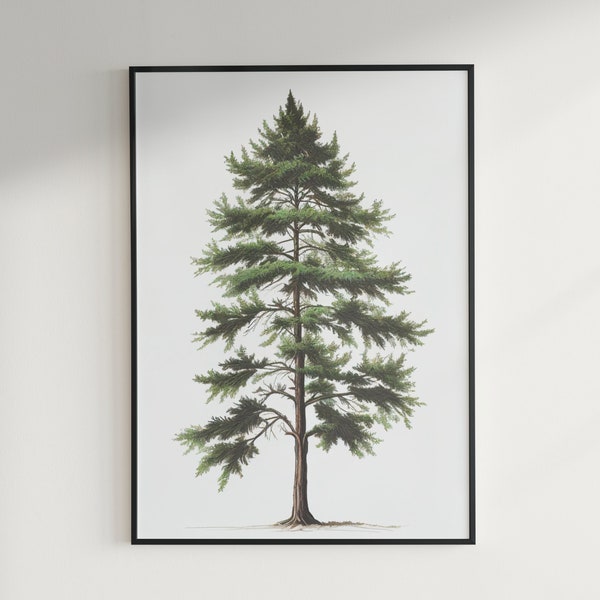 Cedar Wall Hanging - Etsy