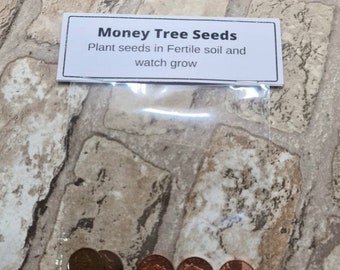 Money Tree Seeds - Etsy